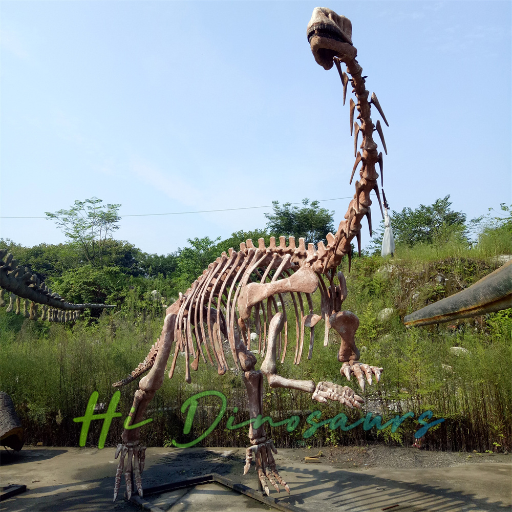 Life-sized Dinosaur Replica Lufengosaurus Fossil Skeleton | Hi Dinosaurs
