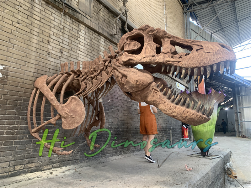 Half Body T-Rex Skeleton Wall Decor | Hi Dinosaurs