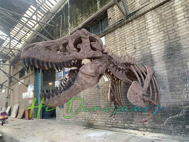 Half Body T-Rex Skeleton Wall Decor | Hi Dinosaurs