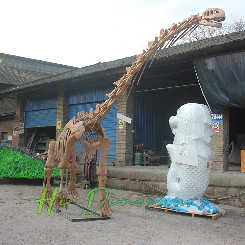 Life-Size Artificial Dinosaur Skeleton Exhibit | Hi Dinosaurs