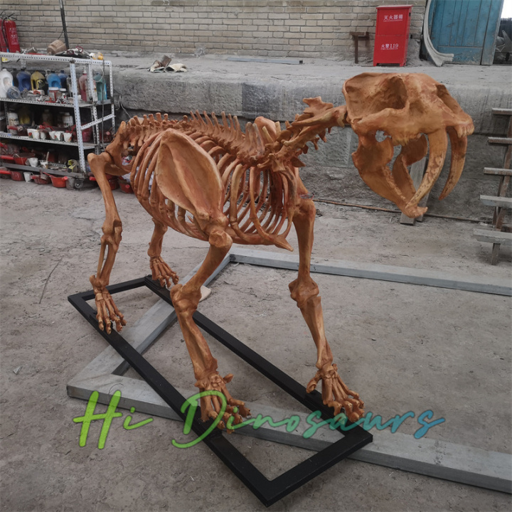 Realistic Smilodon Skeleton Replica - Prehistoric Ice Age Exhibit | Hi ...