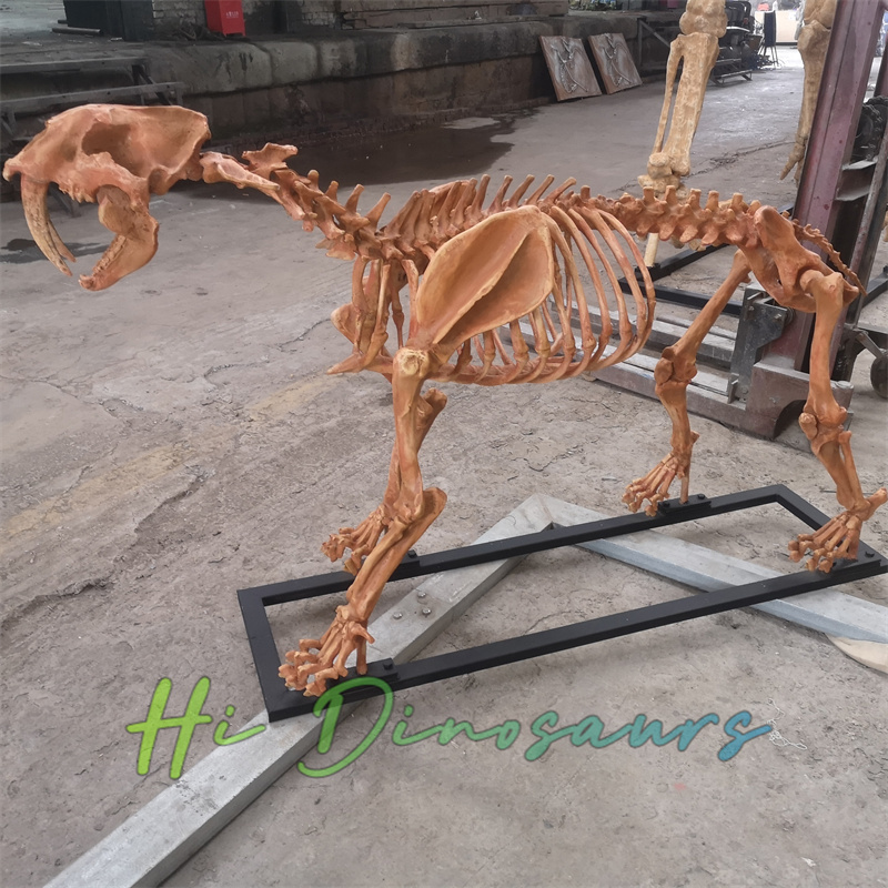 Realistic Smilodon Skeleton Replica - Prehistoric Ice Age Exhibit | Hi ...