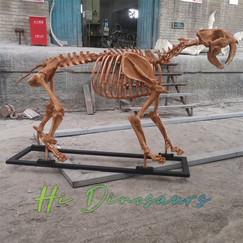 Realistic Smilodon Skeleton Replica - Prehistoric Ice Age Exhibit | Hi ...