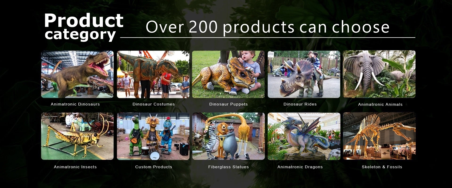 Animatronic Dinosaurs Manufacturer Expert | HiDinosaur