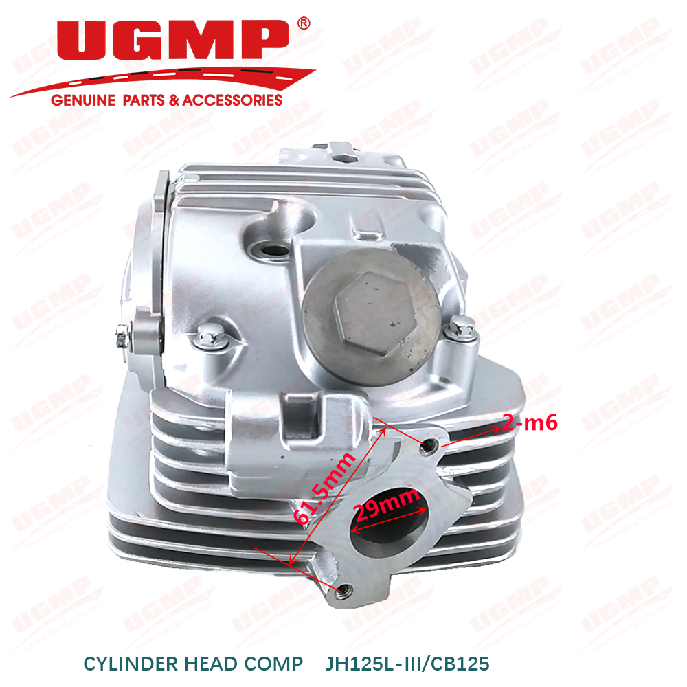 CYLINDER HEAD COMPLETE HONDA CB125 XL125 JIALING JH125L HAOJUE HJ125