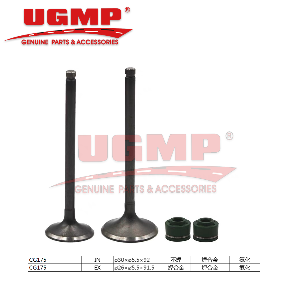 VALVES SET ZONGSHEN LONCIN LIFAN HAOJUE KEEWAY AKT CG175 ITALIKA FT180 ...