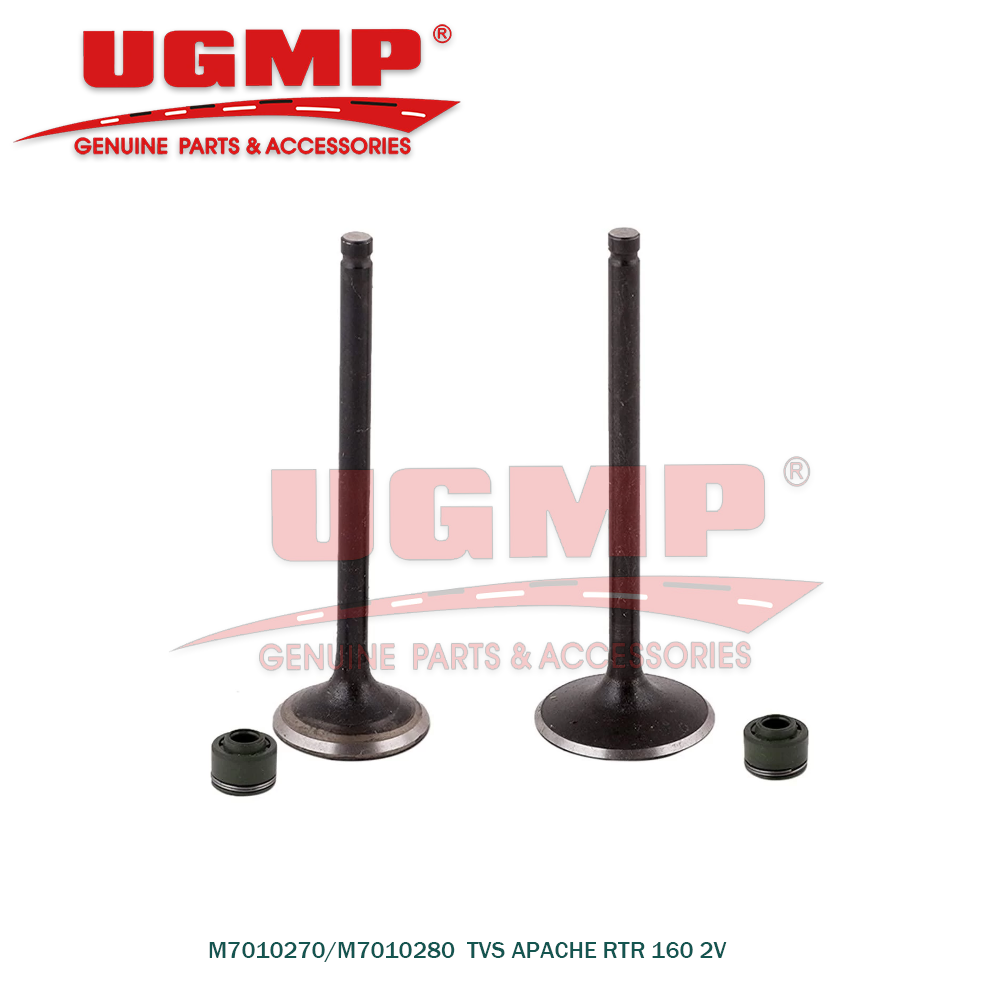 VALVES SET TVS APACHE RTR 160 180 2V M7010270 M7010280