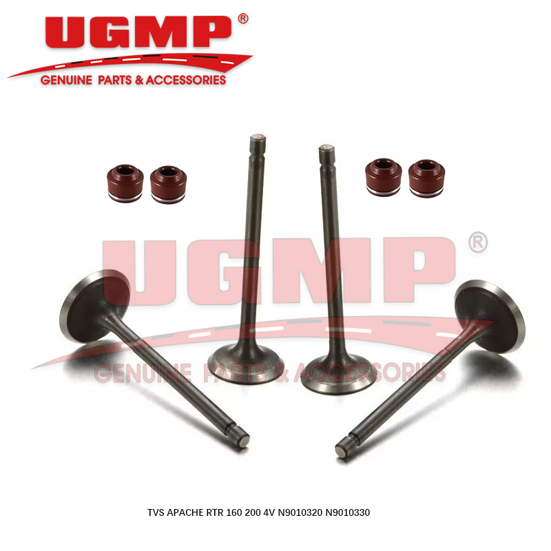 VALVES SET TVS APACHE RTR 160 200 4V N9010320 N9010330