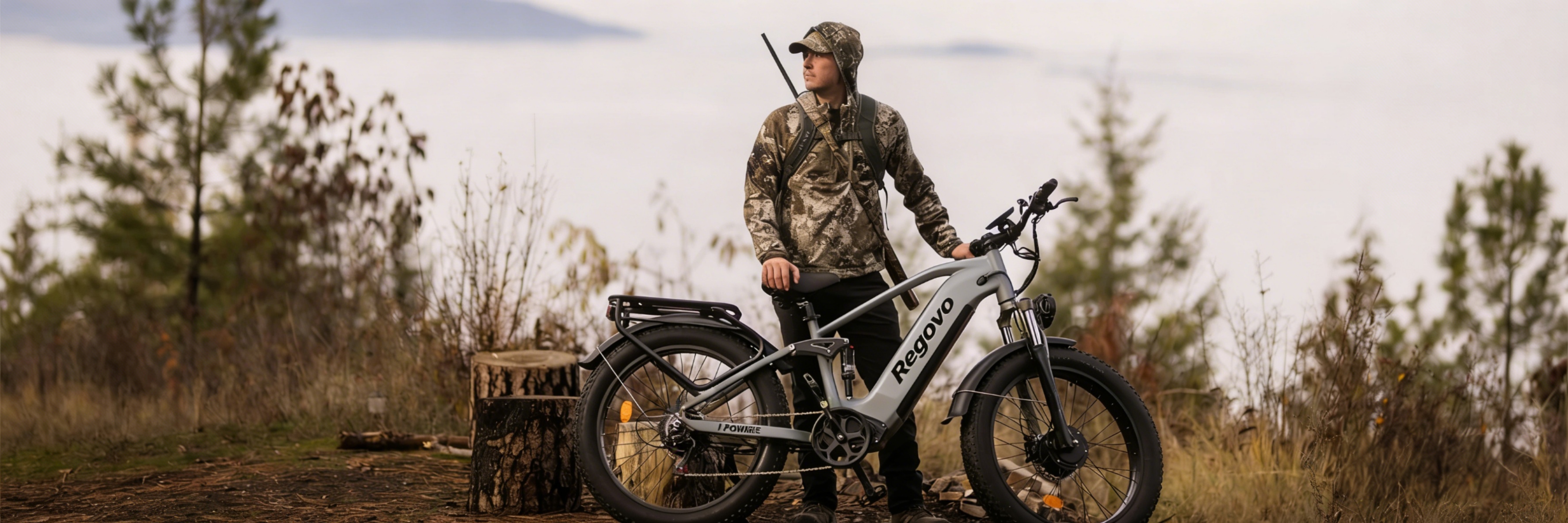 Electric Bikes