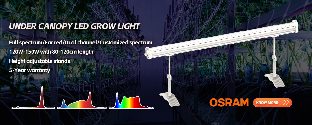 TOP Leading Horticulture Led Grow Light Manufacturer With 17 Years ...