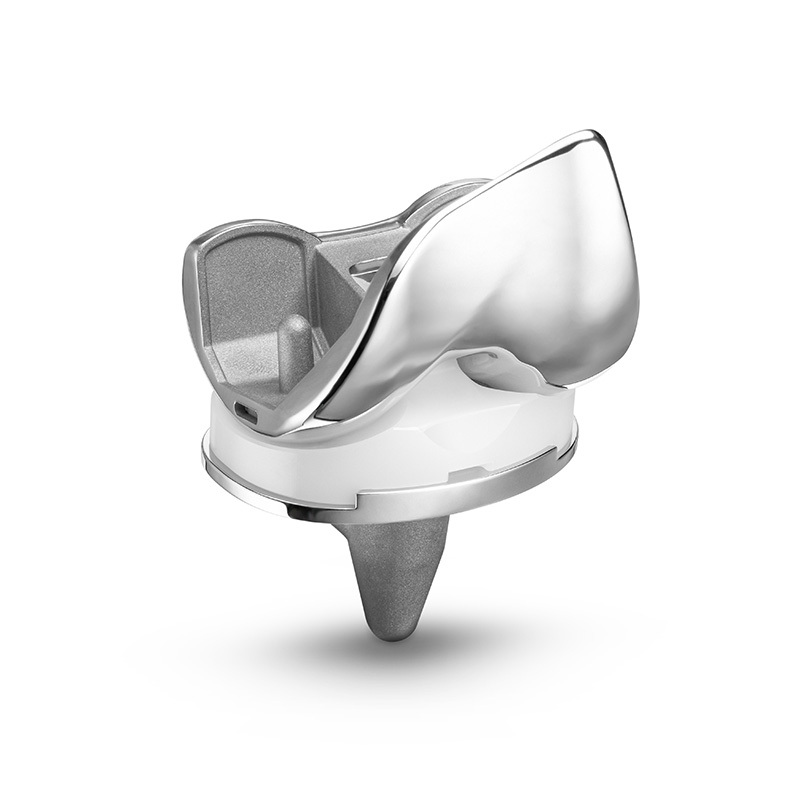 Knee Replacement Implants