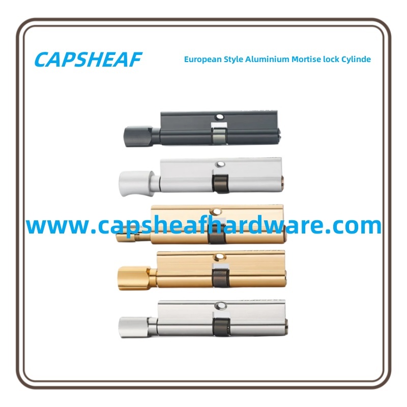 Euro Cylinder Door Lock With Normal Key