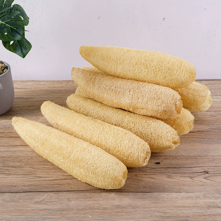 biodegradable natural loofah sponge
