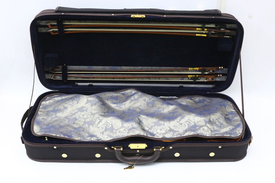 holding violin case