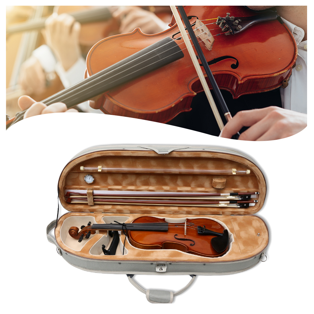 holding violin case