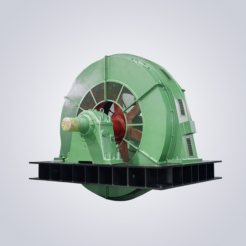 T series large high-voltage three-phase synchronous motor - Dzmotortech ...