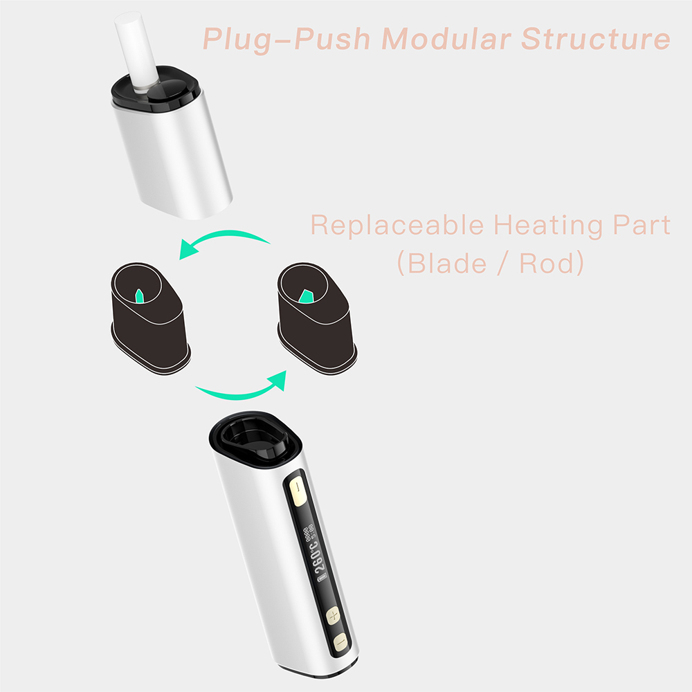 (Heating Blade Version) Newest LAMBDA Dual Heat Not Burn Device with ...