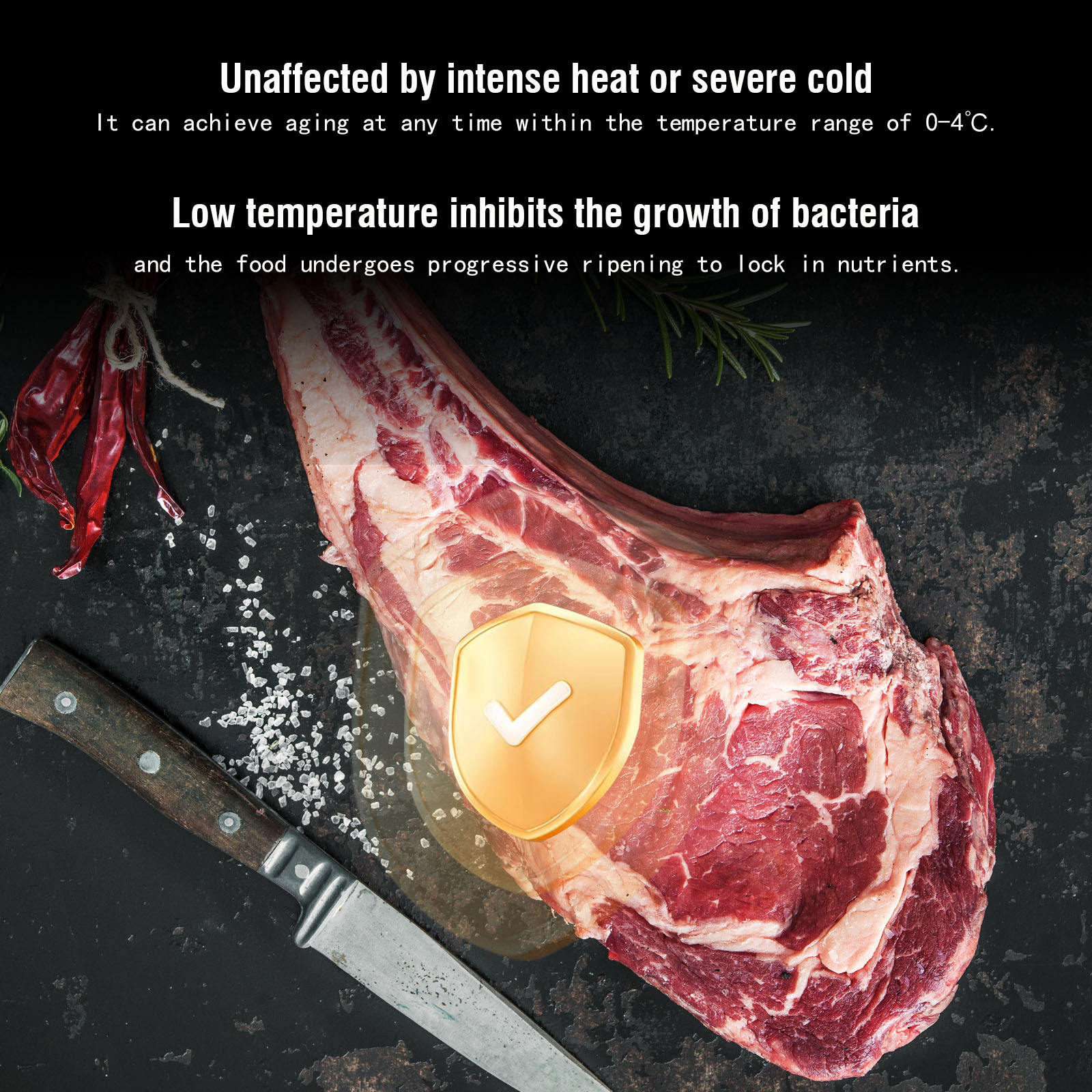 Kolice Commercial Aging Beef Showcase Freezer, Commercial Steak Ager ...