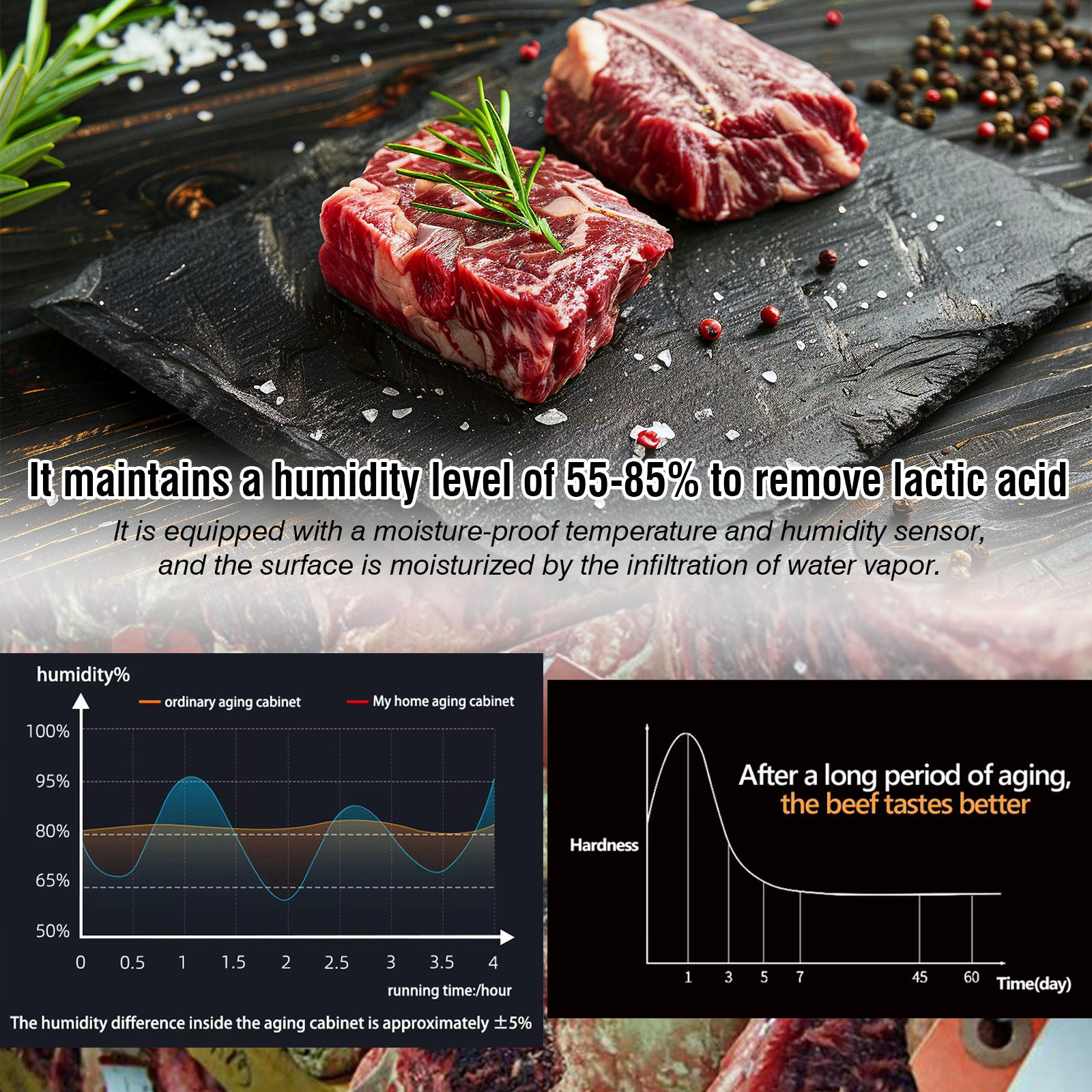 Kolice Commercial Aging Beef Showcase Freezer, Commercial Steak Ager ...