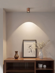 Best 2Pcs 10W COB LED Hallway Anti-Glare Ceiling Light Spotlight Walnut ...