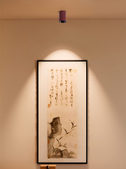 Best 2Pcs 10W COB LED Hallway Anti-Glare Ceiling Light Spotlight Walnut ...