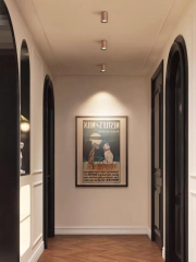 Best 2Pcs 10W COB LED Hallway Anti-Glare Ceiling Light Spotlight Walnut ...