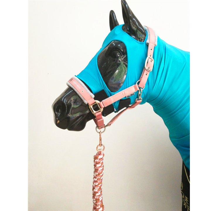 Black Horse Bridle Halters and Lead